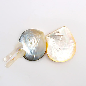 4 PCS Handmade Caviar Server Set,Black/Gold Mother of Pearl Caviar Dish and 2 Pearl Spoon for Caviar Jewelry Christmas Gift