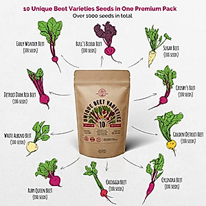 10 Rare Beet Seeds Variety Pack for Planting Indoor & Outdoors 1000+ Heirloom Non-GMO Bulk Beets Gardening Seeds: Chioggia, Detroit Dark Red, Sugar, Cylindra, Golden, Bulls Blood, White Albino & More