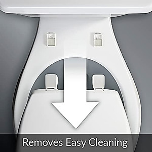 Bio Bidet by Bemis 1500EC Toilet Seat with Perfect Fit, Fresh Water Spray, Non-Electric, Easy to Install Bidet, ELONGATED, Silver