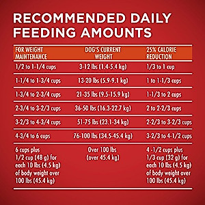 Purina ONE Plus Healthy Weight High-Protein Dog Food Dry Formula - 8 Lb. Bags