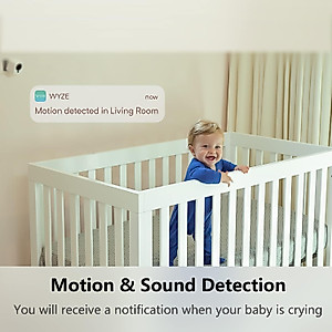 WYZE Scale X Black & Cam V3 & 32GB Micro SD Card Bundle