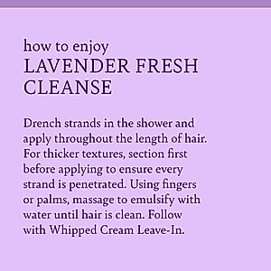 Camille Rose Lavender Fresh Cleanse, Detangling and Moisturizing Shampoo, with Apple Cider and Lavender Oil, 8 oz