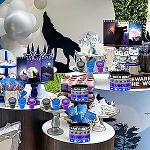 BANBALLON 48 PCS Wolf Party Favors, Wolf Birthday Party Favors with 12 Wolf Button Pins, 12 Mini Notebooks, 12 Stampers and 12 Rubber Bracelets for Birthday Party Baby Shower Holiday