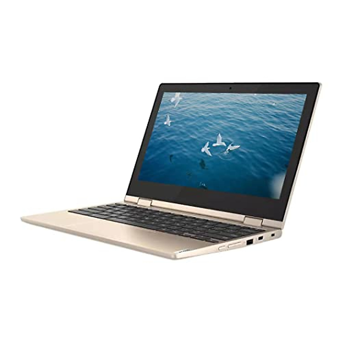 Lenovo Chromebook Flex 3 11.6" HD (1366 x 768) TouchScreen 2-in-1 Laptop, Intel Celeron N4020, 4GB DDR4, 64GB eMMC, Webcam, WiFi, Bluetooth, MicroSD Card Reader, Chrome Os, GCube 64GB Micro SD Card