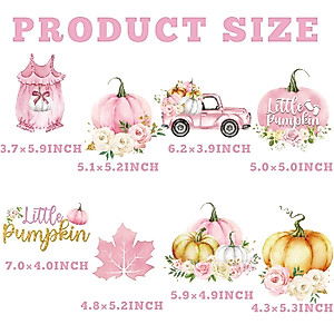 Little Pumpkin Baby Shower Decorations, Girl Pink Pumpkin Baby Shower Decorations includes a Little Pumpkin Is On The Way Banner and A Little Pumpkin Is On Her Way Baby Shower Hanging Swirls