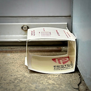 Glue Boards for Mice, Rats, Insects and Other Creepy Crawlers - 13 to A Pack - Traps Mice and Any Other Creepy Crawlers - Indoor Use for Homes and Businesses - Unscented Adhesive Bug Catcher