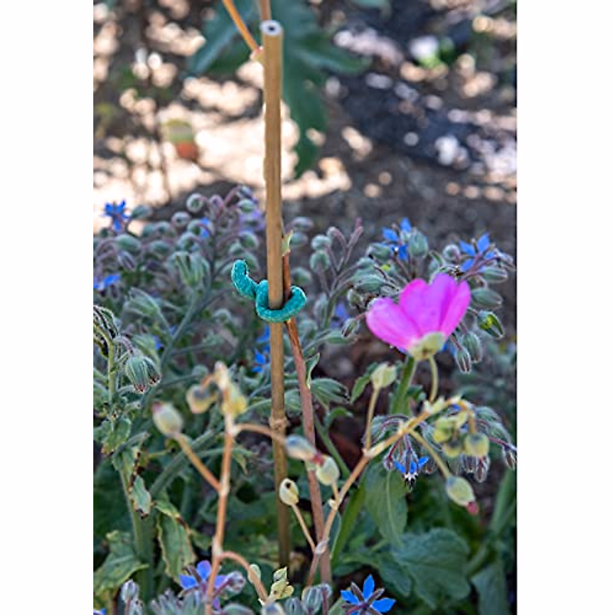 Twigs GA - SUPER Sof-T-Tie. (Single Pack) Soft, Foam Covered Wire for Plant Support. Great Tomato Ties , Grape Ties. Any Fast Growing, Fragile Plant in the Garden Ties.