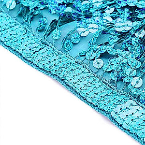 Kakaco Women Belly Dance Skirt Sequin Fringe Skirts Sparkly Hip Scarf Skirt Fashion Party Skirt Costume (G-Blue)