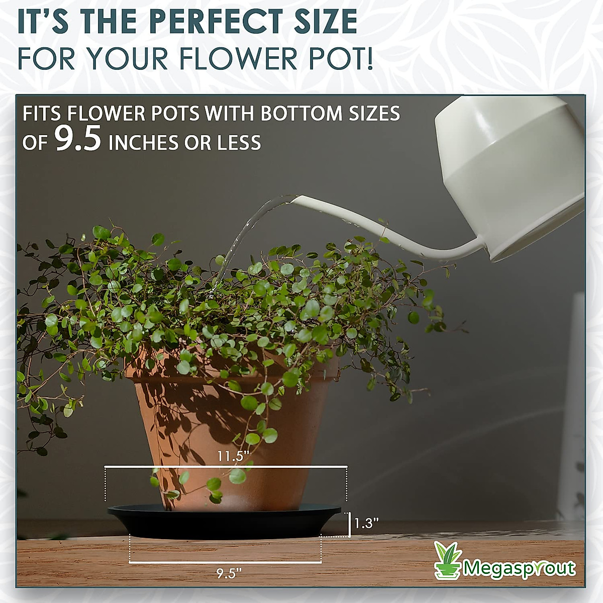 MegaSprout 6 Plant Saucer Trays 9 Inch | Sturdy Plastic Plant Trays for Pots & Planters | Protect & Enhance Surfaces with Black Round Flower Pot Saucers | Large Plant Saucers for Indoors