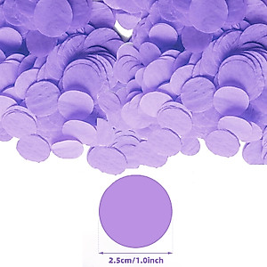 Purple Confetti/Purple Table Decorations/Purple Lilac Party Decorations, Purple Baby Shower/Purple Birthday Decorations/NYU Graduation Party Decorations Purple 2023 (Lavender)