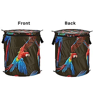 Parrot Pop Up Laundry Hamper With Lid Foldable Laundry Basket With Handles Collapsible Storage Basket Clothes Organizer for Travel Kids Room