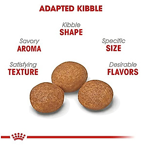 Royal Canin X-Small Adult 8+ Dry Dog Food, 2.5 lb bag