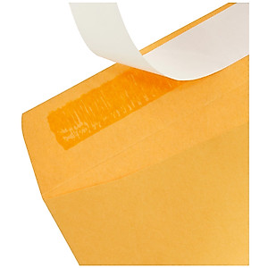 Amazon Basics Catalog Mailing Envelopes, Peel & Seal, 6x9 Inch, Brown Kraft, 100-Pack