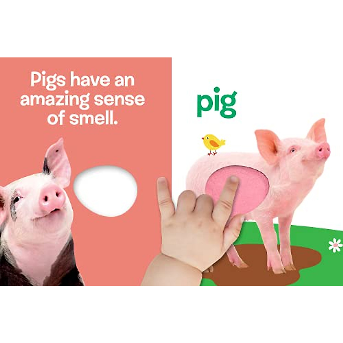 Touch and Feel Farm Animals - Novelty Book - Children's Board Book - Interactive Fun Child's Book