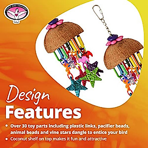 Super Bird Creations SB896 Seeing Stars Bird Toy, Small/Medium Bird Size, 9.5" x 3.5"