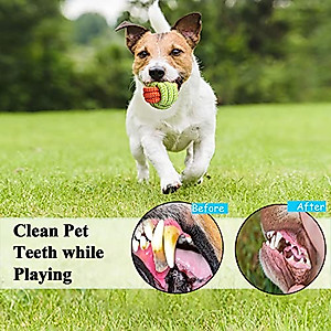 UPSKY Dog Rope Toys 15 Pack Dog Toys, Puppy Grinding Teething Chew Toys, Tug of War Toys for Puppy, Durable Chew Toys for Boredom, Dog Chew Toys for Puppy Small Dogs