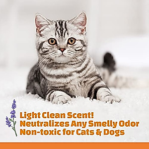 Mr. Tom's Magic Towel - Pet Wipes for Cats - Rinse-Free Compressed Shampoo Towel for Cats and Dogs - Non-Toxic, Re-usable, pH-Balanced, Omega 3 Fish Oil Cat Shampoo - 10 Towel Pieces