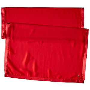 Calvin Klein Women's Satin Border Chiffon Scarf, Rouge, One Size