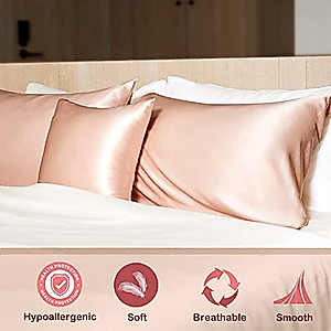 Silk Pillowcase, 100% Mulberry Silk 22 Momme Both Sides Silk Pillow Cases Standard Size for Hair and Skin with Gift Box, 1 Pc (Queen, Champagne)