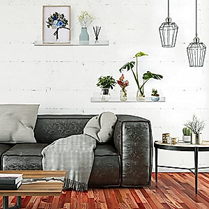 LUOBAO Acrylic 15" Invisible Floating Wall Ledge Display Shelves,Floating Wall Bookshelf,Nail Polish Rack,Wall Mounted Shelf,Clear (4 Pack - 4mm)