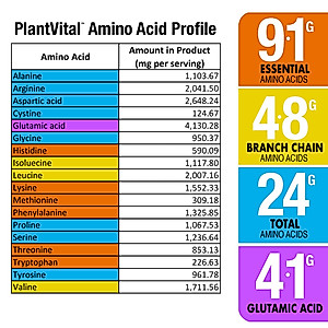 Plantvital Vegan Protein Powder Plant Based - Organic Protein Powder Chocolate - 24g/0g Sugar, 18 Superfoods, Probiotics, Raw Cocoa, Pea, Gluten-Free, Keto-Friendly, 16oz