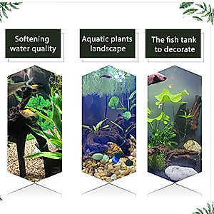 Tfwadmx Aquarium Natural Driftwood Decor Wood Branches 8.5-12" Fish Tank Decoration Reptile Habitat Assorted Trunk Terrarium Ornament(2 Pcs)