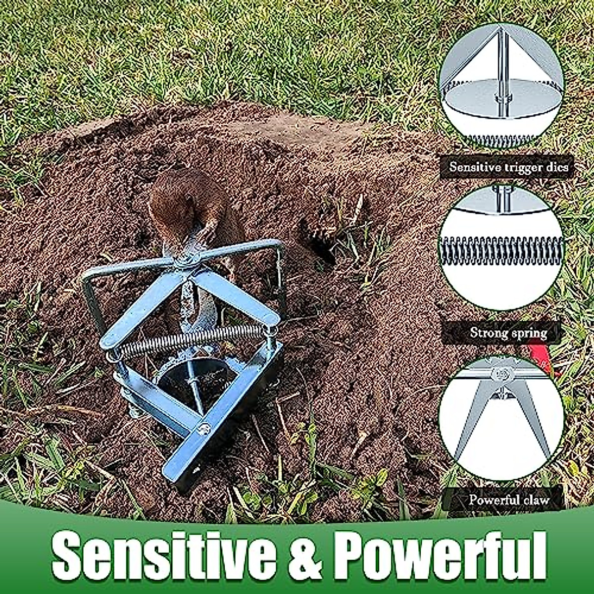 2 Pack Mole Traps That Kill Best, Scissor Mole Traps for Lawns Vole Traps Outdoor Use, Mole Trap Easy to Set Galvanized Steel Reusable Quick Capture Gopher