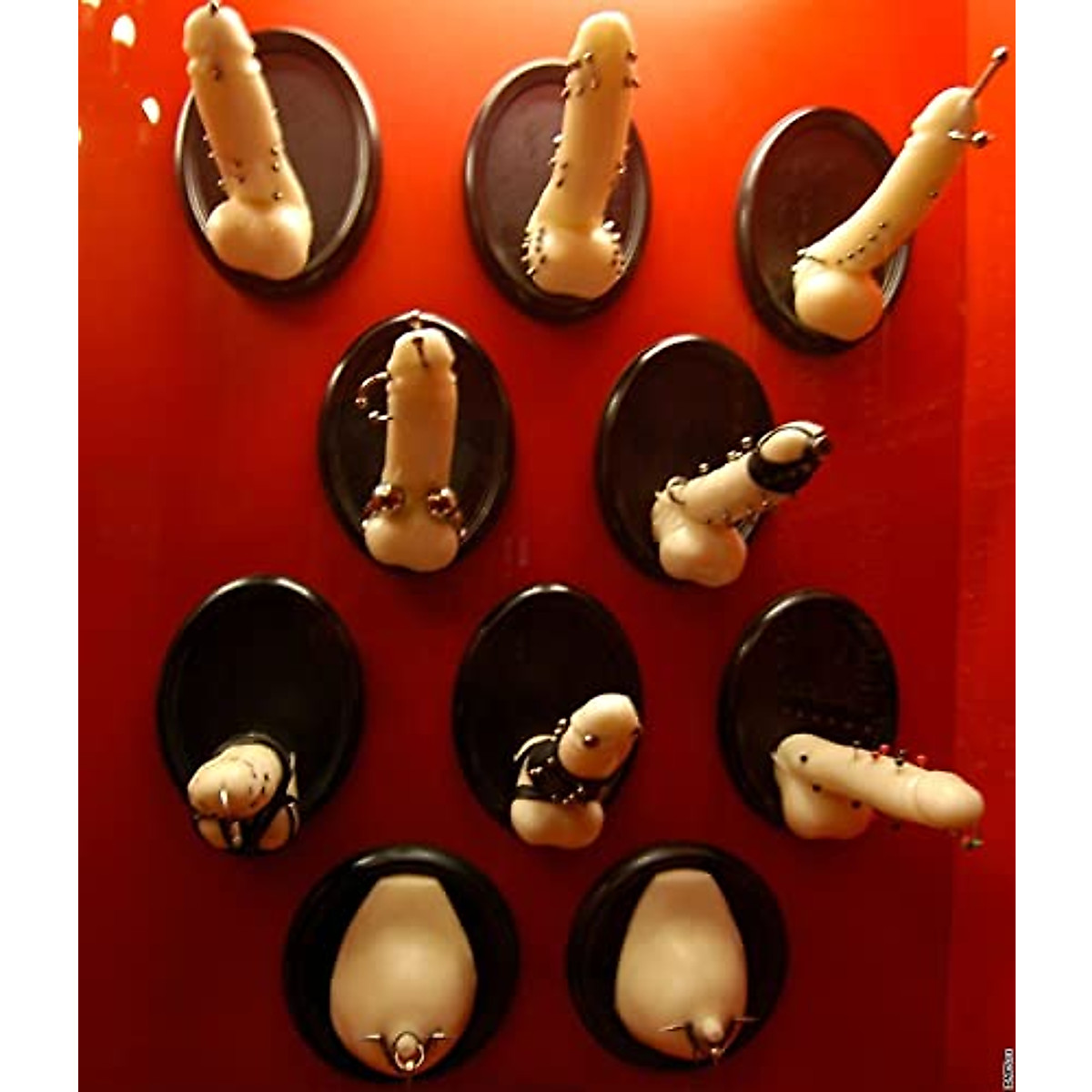 PAIR 00G SPRING LOADED CAPTIVE BEAD RING STEEL BIG GAUGES PRINCE ALBERT JEWELRY Style 88888-1822