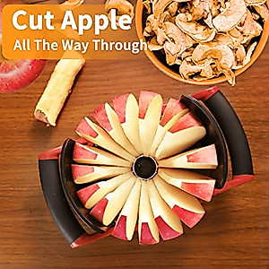 Newness Apple Cutter Slicer, [Large Size] 16 Slices HEAVY DUTY Apple and Pear Corer Divider with Base, [Upgraded] Cut Apples All The Way Through, Stainless Steel Fruits & Vegetables Divider, Wedger