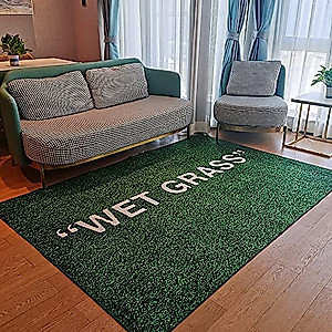 Carpet Wet Grass Rug Carpet Living Room Decoration Carpet Bedroom Bedside Bay Window Area Rugs Sofa Floor Mat Rugs (23.62 in x 35.43 in)