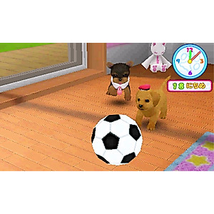 Kawaii Koinu 3D [Japan Import]