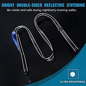 rabbitgoo Dog Leash 6ft Long, Heavy Duty Leash with 2 Padded Traffic Handles, Hands Free Leash for Control Safety Training, Reflective Walking Lead for Small, Medium, Large Dogs