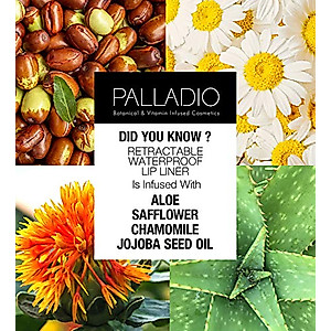 Palladio, Retractable Waterproof Lip Liner High Pigmented and Creamy Color Slim Twist Up Smudge Proof Formula with Long Lasting All Day Wear No Sharpener Required, Raspberry, 1 Count