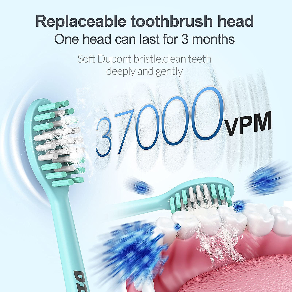 Sonic Electric Toothbrush, 3 Modes Rechargeable Tooth Brush with 8 Dupont Bristles, Smart Timer, Whitening Electric Toothbrushes for Adults and Kids (Green)