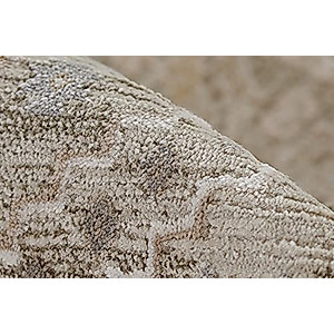 Momeni Cambridge Viscose and PES Traditional Indoor Area Rug, Grey, 3'11" X 5'5"