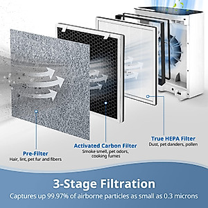 2 Pack Vital 100 True HEPA Replacement Filter Compatible with LEVOIT 100 Air Purifier, H13 and High-Efficiency Activated Carbon Set, Part Number 100-RF