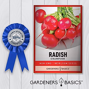 Radish Seeds for Planting - Champion Variety Heirloom, Non-GMO Vegetable Seed - 2 Grams of Seeds Great for Outdoor Spring, Winter and Fall Gardening by Gardeners Basics