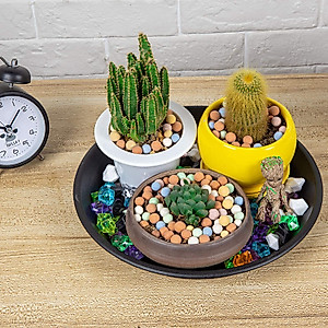 NABAOXUN 6Pack 8,10,12Inch Plastic Drip Trays Plant Saucers for Indoors Outdoor Plant, Thick Heavy Durable Sturdy Flower Pot Trays for Pots Planter, Black…