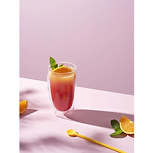 Bodum Pavina Glass, Double-Wall Insulate Glass, Clear, 15 Ounces Each (Set of 2)