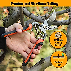 Gardening Shears Garden Clippers, Heavy Duty Tree Trimmers and Rose Pruning Shears, Professional Bypass Pruner Hand Shears, Hedge Clippers for Plants, Garden Tools Gardening Gift