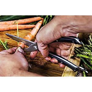 Oklahoma Joe's 4567320R06 Blacksmith Meat Shears, No Size, Black and Stainless