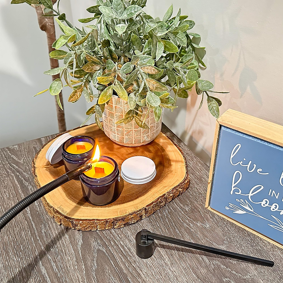 Cornucopia Brands 2oz Cobalt Blue Glass Jars w/Metal Lids (12 Pack); Straight Sided Containers for Creams, Cosmetics, Lotions and More