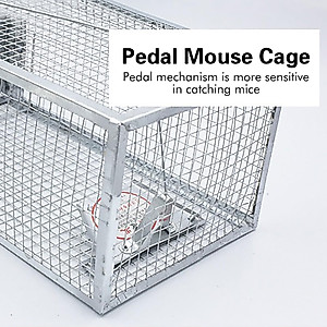 Generic Rat Trap, Mouse Traps, Chipmunk Trap, Live Rat Traps, Humane Mouse Chipmunk Cage Traps (Silver), LZ 072202
