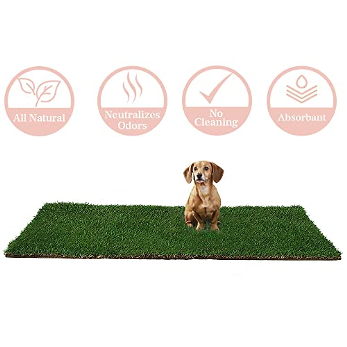 DoggieLawn Dog Potty - Real Grass - XLarge 24x48 inches