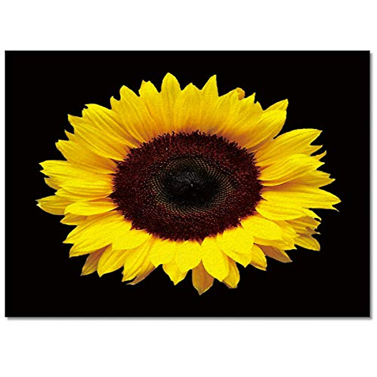 Large Rectangular Area Rugs 5' x 7' Living Room, Farm Sunflower Round Durable Non Slip Rug Carpet Floor Mat for Bedroom Bedside Outdoor Black Backdrop Yellow Floral