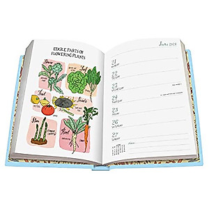 Julia Rothman: Farm, Food, Nature Engagement Calendar 2021