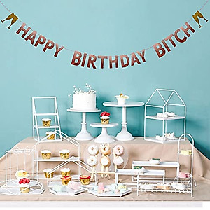 HAPPY BIRTHDAY BITCH Banner,Pre-strung,No Assembly Required, Birthday Party Decorations, Rose Gold Glitter Paper Garlands Backdrops,Letters Rose Gold Betteryanzi