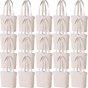 Generic 10×8×3 Inch - Small Canvas Tote Bags for Kids Mini Gift Bags Bulk for Painting DIY Arts & Crafts Thick Fabric Bland Bags (20, Beige)