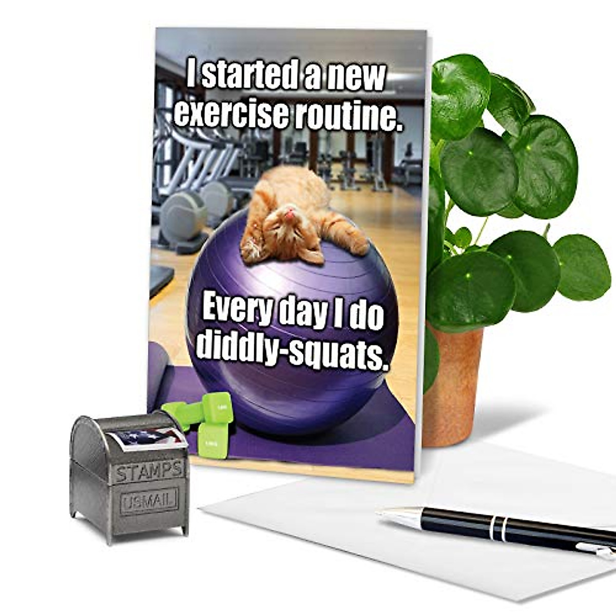 NobleWorks - 1 Happy Birthday Card with Funny Animals - Wildlife and Pet Humor, Fun Birthday Celebration Notecard - Diddly Squats C3955BDG