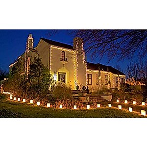 Set of 12 Brown Luminaries, Amber LED Tea Lights & Stakes